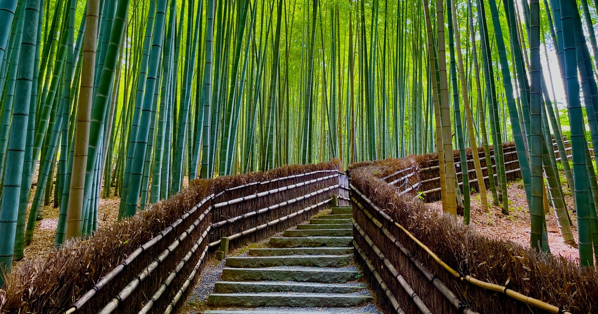 Kyoto Early Bird English Tour: Fushimi-Inari and Arashiyama | GetYourGuide