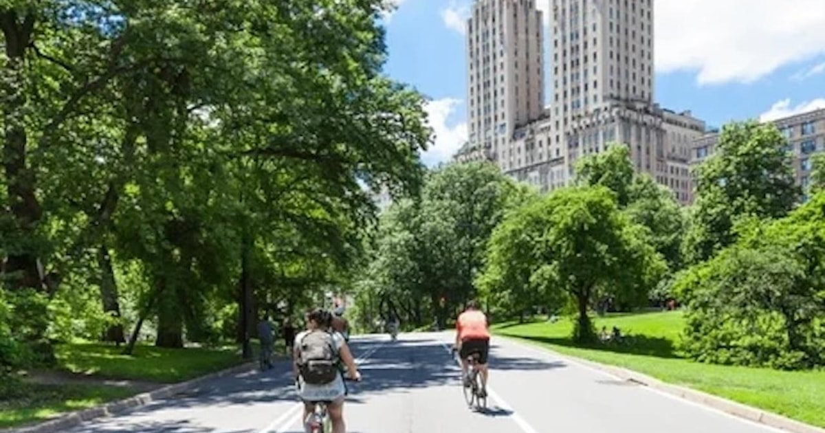 NYC: Central Park Bike Tour & 30+ Top Sights Walking Tour | GetYourGuide