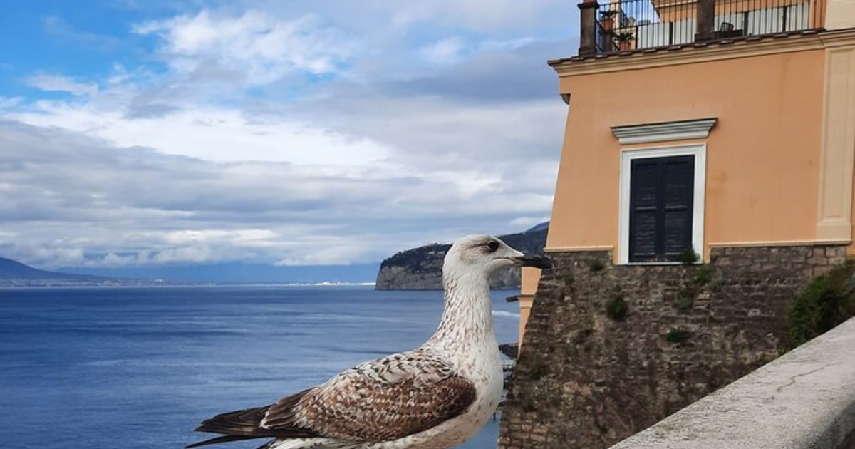 Sorrento: vandring i Grand Tour med fantastiske landskaber | GetYourGuide