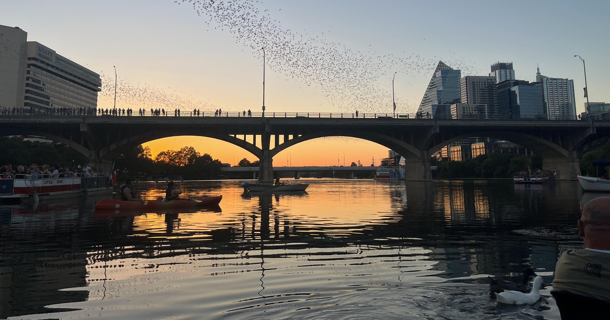 Austin: Bat Bridge Sunset Kayak Tour | GetYourGuide