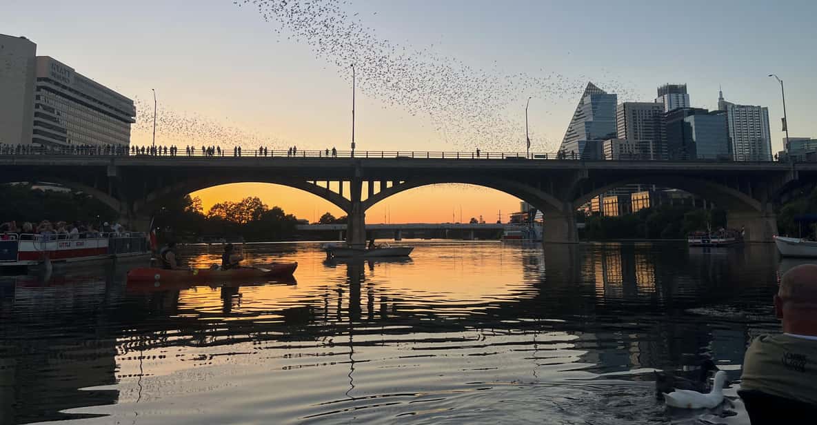 Austin: Bat Bridge Sunset Kayak Tour | GetYourGuide