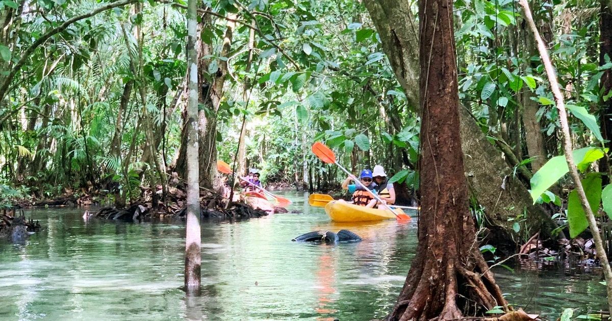From Ao Nang: Kayaking at Klong Rud with Hotel Transfers | GetYourGuide
