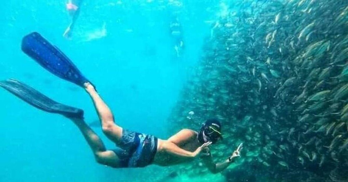 Lombok: Gili Nanggu, Tangkong, Sudak, and Kedis Islands Tour | GetYourGuide