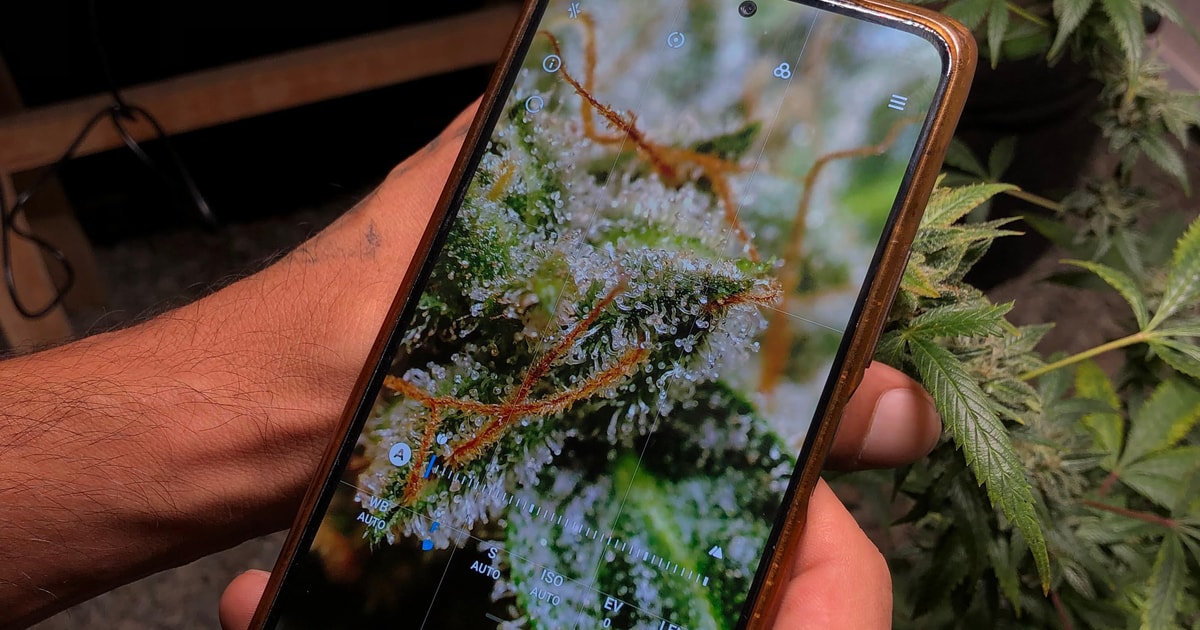ANCESTRAL PLANTS | GetYourGuide