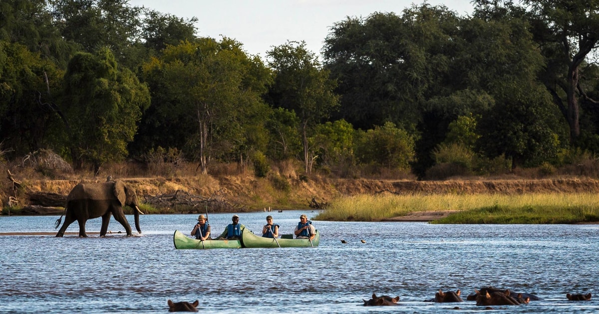 Lac Manyara : Excursion d'une journée en canoë avec observation des ...
