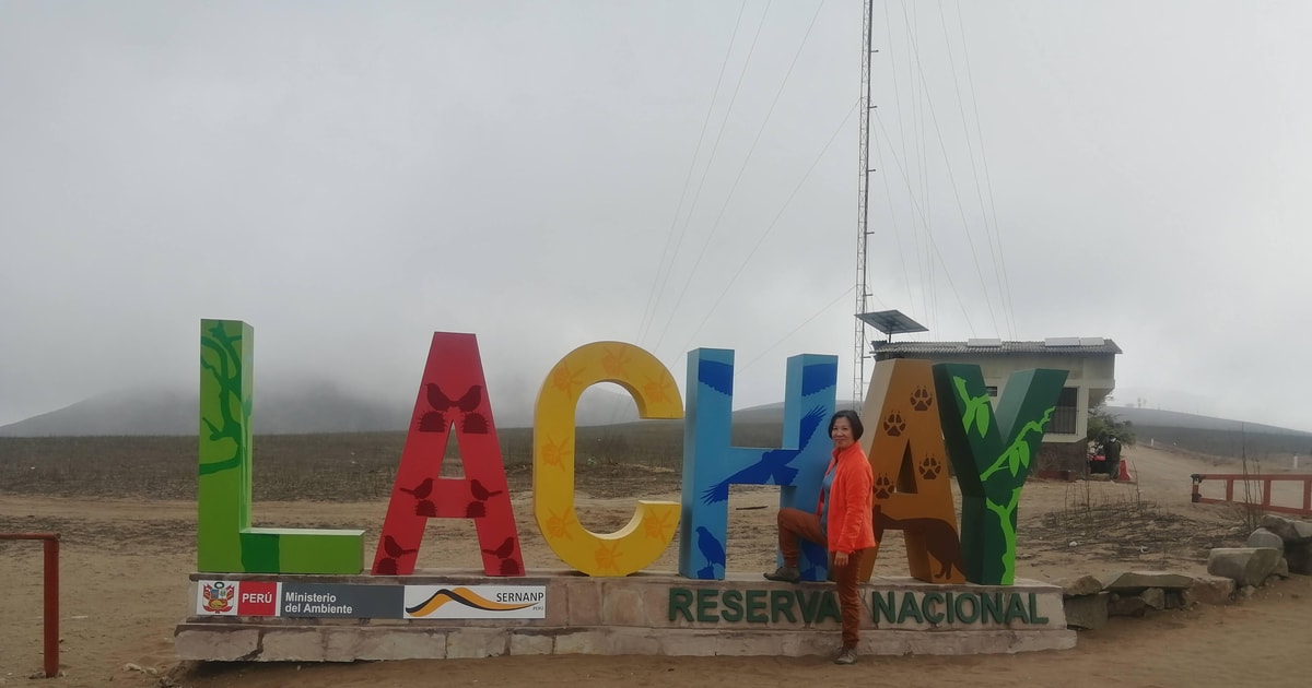 Wandern in den Lomas de Lachay in Lima | GetYourGuide