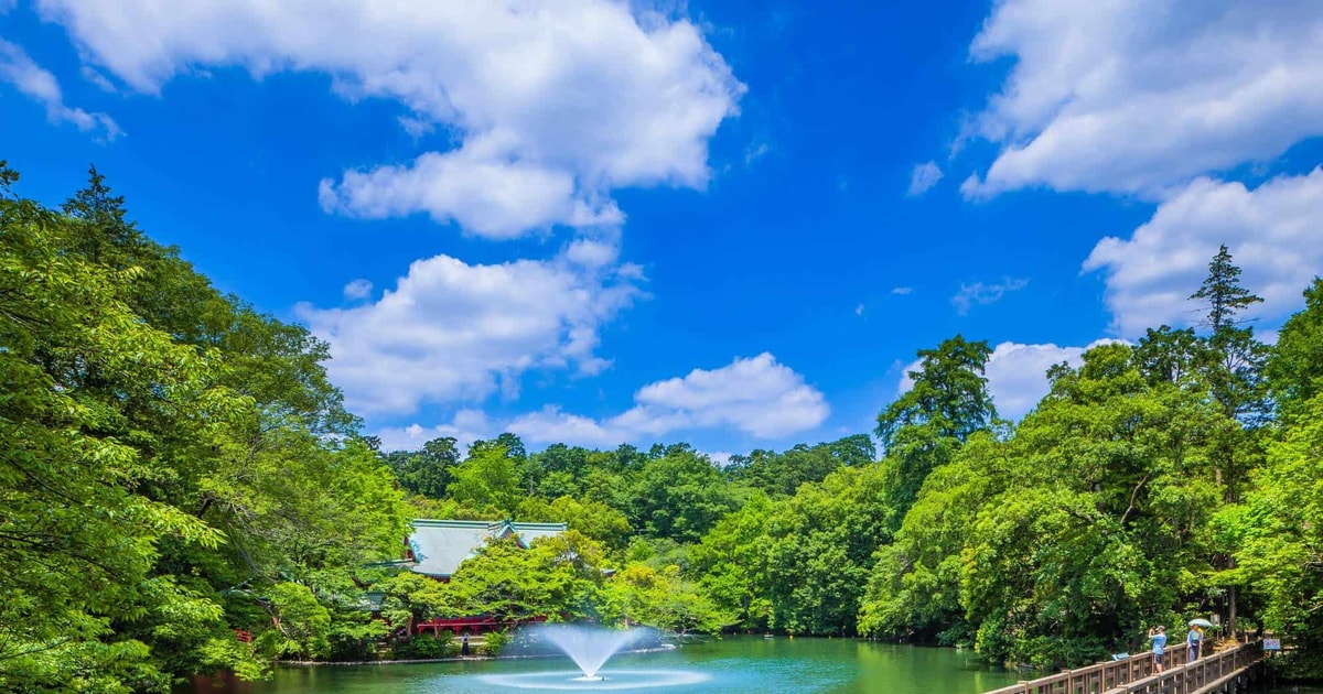 Tokyo: Inokashira Park and Zoo Guided Walking Tour | GetYourGuide