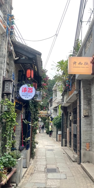 Guangzhou: Walking Tour of Xiguan Ancient Town | GetYourGuide