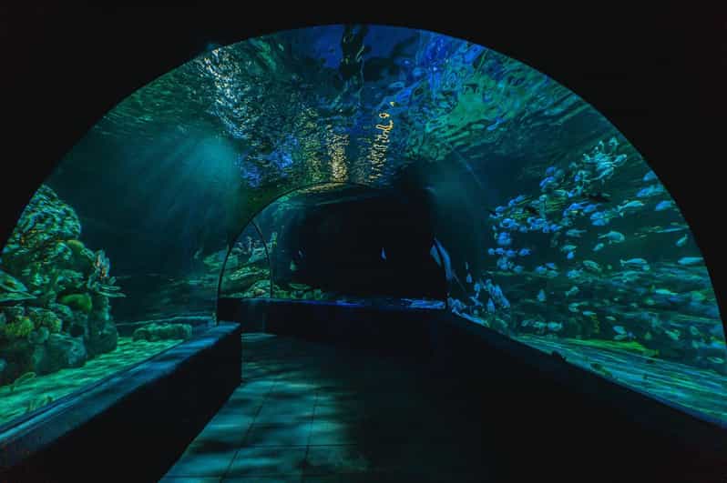 Angkor Wildlife & Aquarium, Provincia de Siem Riep - Reserva de ...