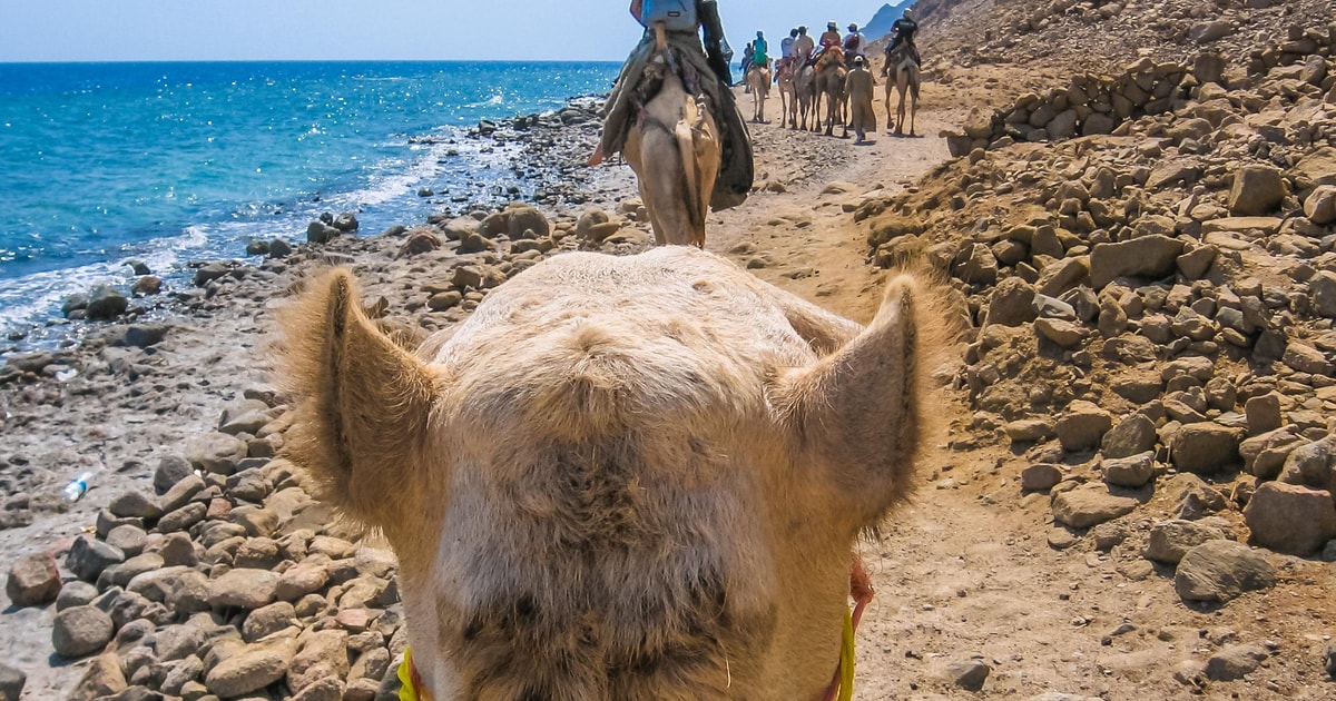 Sharm El Sheikh: Passeio de jipe por Dahab, Canyon, Camelo e Snorkel ...