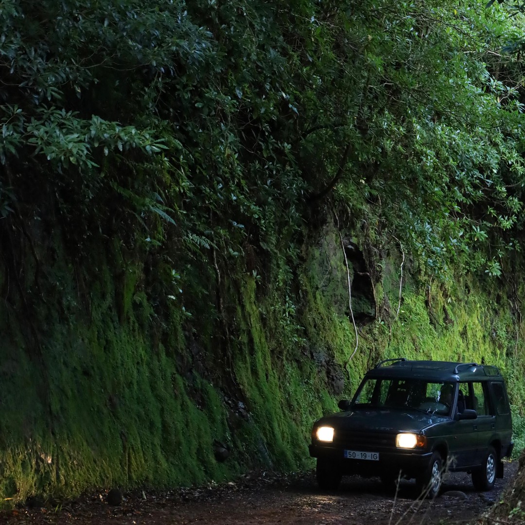 Tour adrenalinico in 4x4 a Madeira: zipline, altalena gigante e Seixal | GetYourGuide