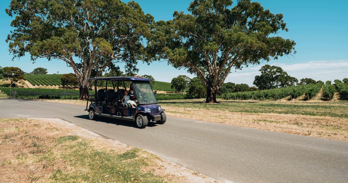Valle de Barossa: EcoVine Explorer - Visita a los viñedos con carrito electrónico | GetYourGuide