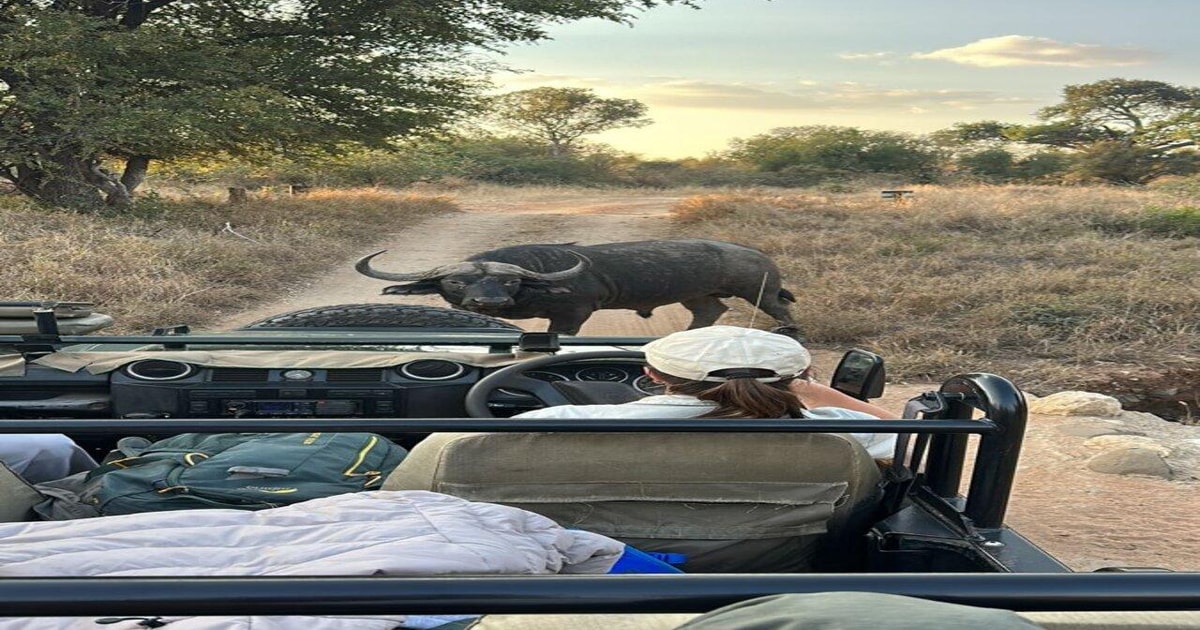 Arusza: 4-dniowe safari nad jeziorem Manyara, Tarangire i ...