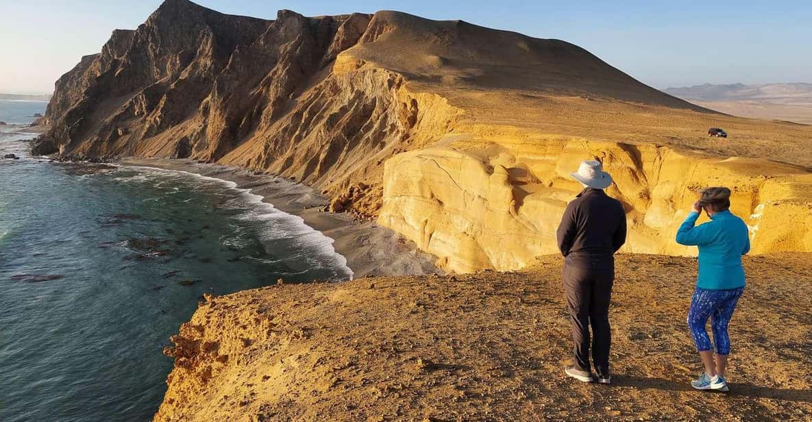From Paracas: Private Tour Paracas National Reserve | GetYourGuide