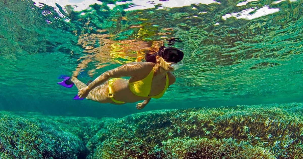 All Inclusive trincomalee: pigeon island tour + Snorkeling | GetYourGuide