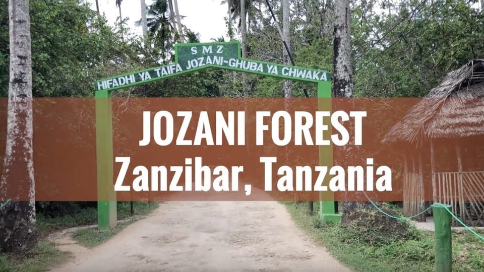 Jozani Forest Tour | GetYourGuide