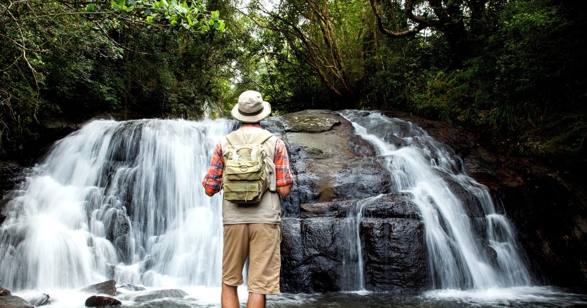 Excursión a la Selva Tropical de Sinharaja y a la Fábrica de Té | GetYourGuide