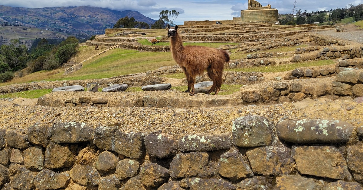 Ingapirca Ruins and Inca Face Small Group Tour from Cuenca. | GetYourGuide