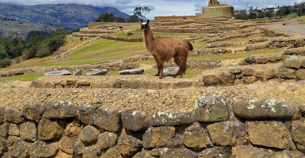 Ingapirca Ruins and Inca Face Small Group Tour from Cuenca. | GetYourGuide