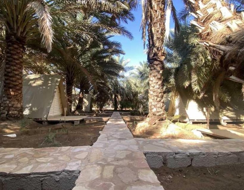 GLAMPING IN ALULA - 2 NIGHT PACKAGE | GetYourGuide