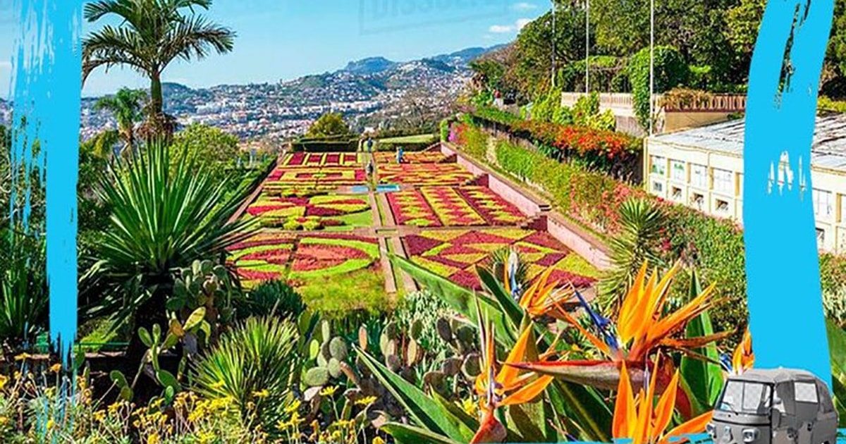 Madeira: Botanischer Garten + Altstadt-Tuk-Tuk-Tour mit MadTuk ...