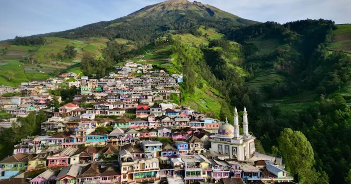 Central Java: Nepal Van Java & Borobudur Temple Tour | GetYourGuide