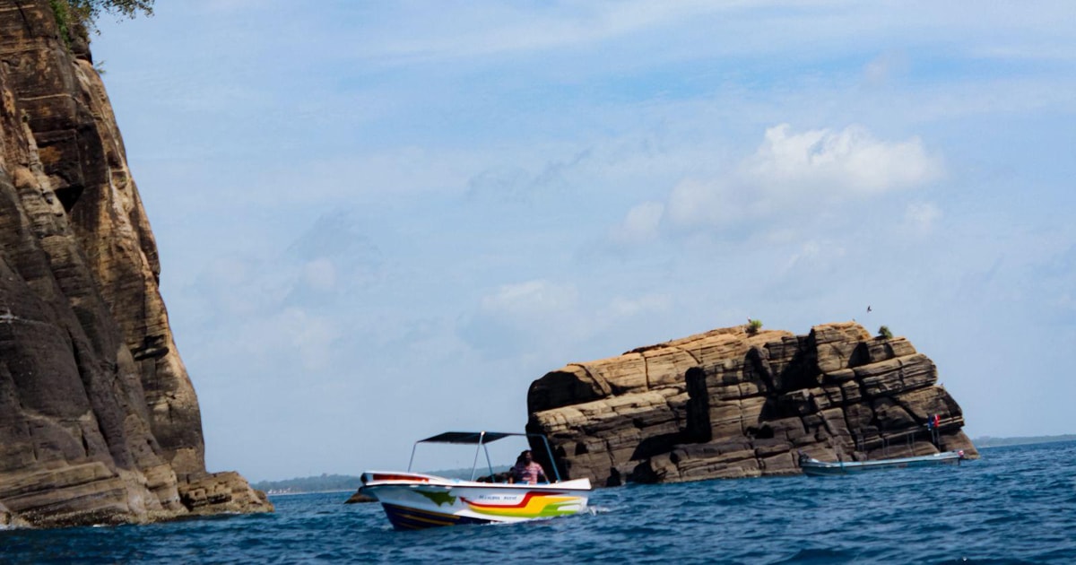 Trincomalee: All Inclusive Whale&Dolphin Watching Boat Tour | GetYourGuide