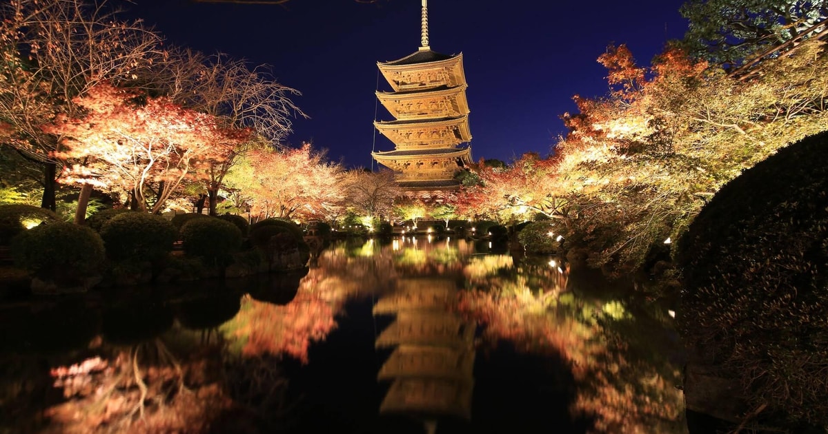 Kyoto: Toji Temple Autumn Nighttime Lightup Walking Tour | GetYourGuide