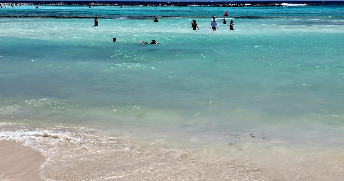 Aruba: Bus Trip Island Tour | GetYourGuide
