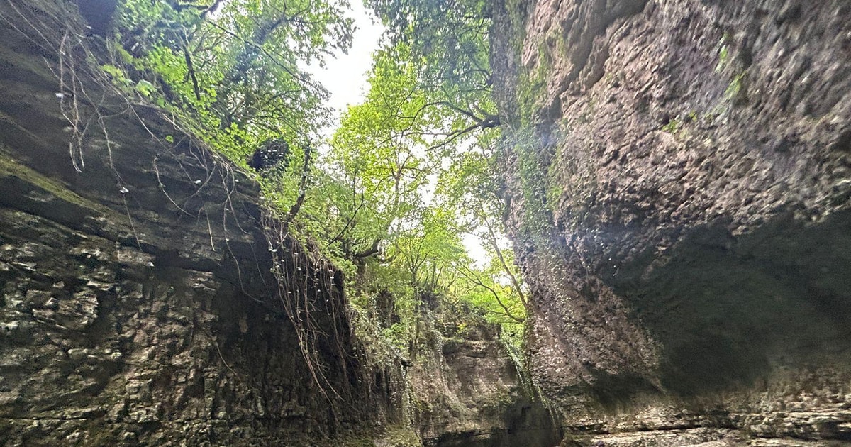 Vanuit Kutaisi: Canyons en grotten tour met transfer naar Tbilisi ...