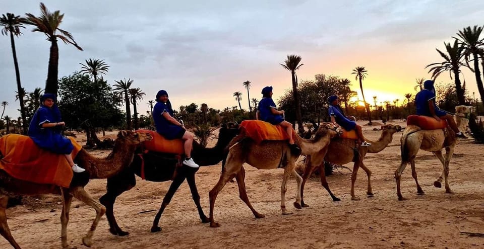 Paseo en camello por el palmeral de Marrakech | GetYourGuide