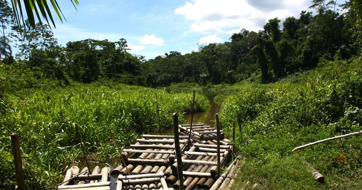 AMAZONEN-TOUR MANU KULTURGEBIET 3D - 2N | GetYourGuide