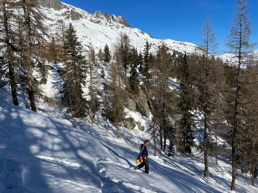 Guided Snowshoe Hikes in Chamonix Mont Blanc | GetYourGuide
