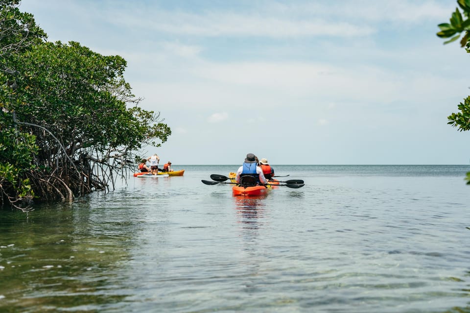 Key West: Sandbar Excursion & Kayak Tour with Lunch & Drinks | GetYourGuide