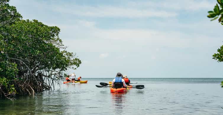 Key West: Sandbar Excursion & Kayak Tour with Lunch & Drinks | GetYourGuide