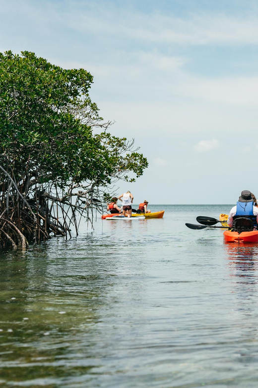 Key West: Sandbar Excursion & Kayak Tour with Lunch & Drinks | GetYourGuide