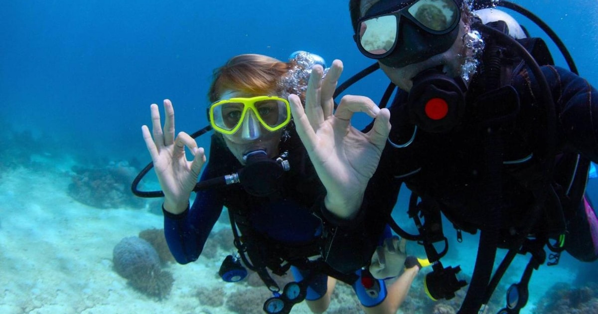Benidorm: Scuba Diving Experience | GetYourGuide