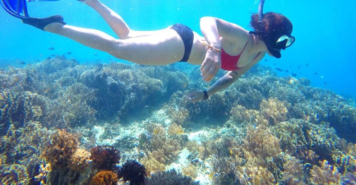 Pusuk Monkey Forest Lombok, Ghost Villa,and the Three Gilis | GetYourGuide