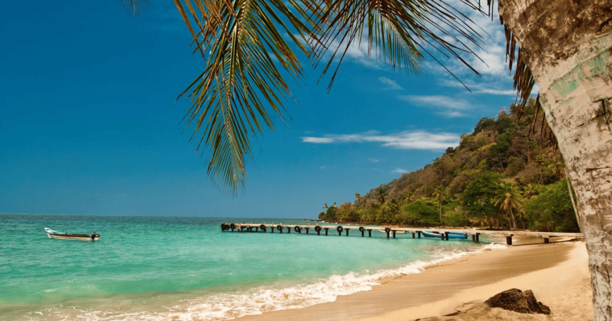 Capurganá Colombia: All-Inclusive Escape to Jungle Paradise | GetYourGuide