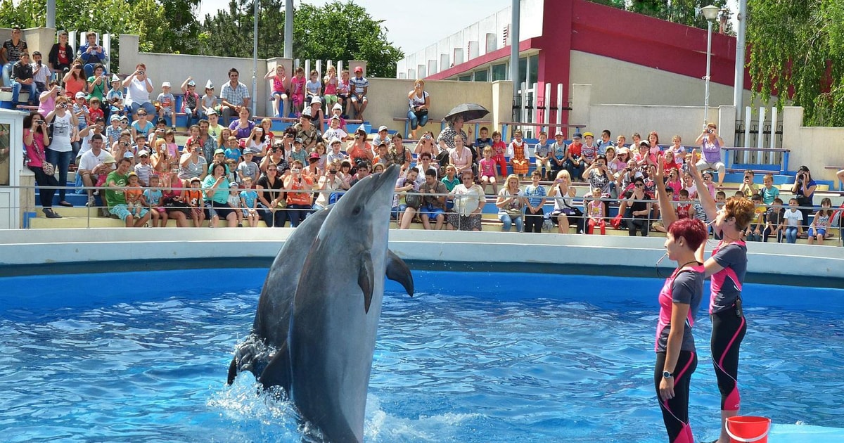 Agadir : Dolphin World Entry Ticket & Transfer | GetYourGuide