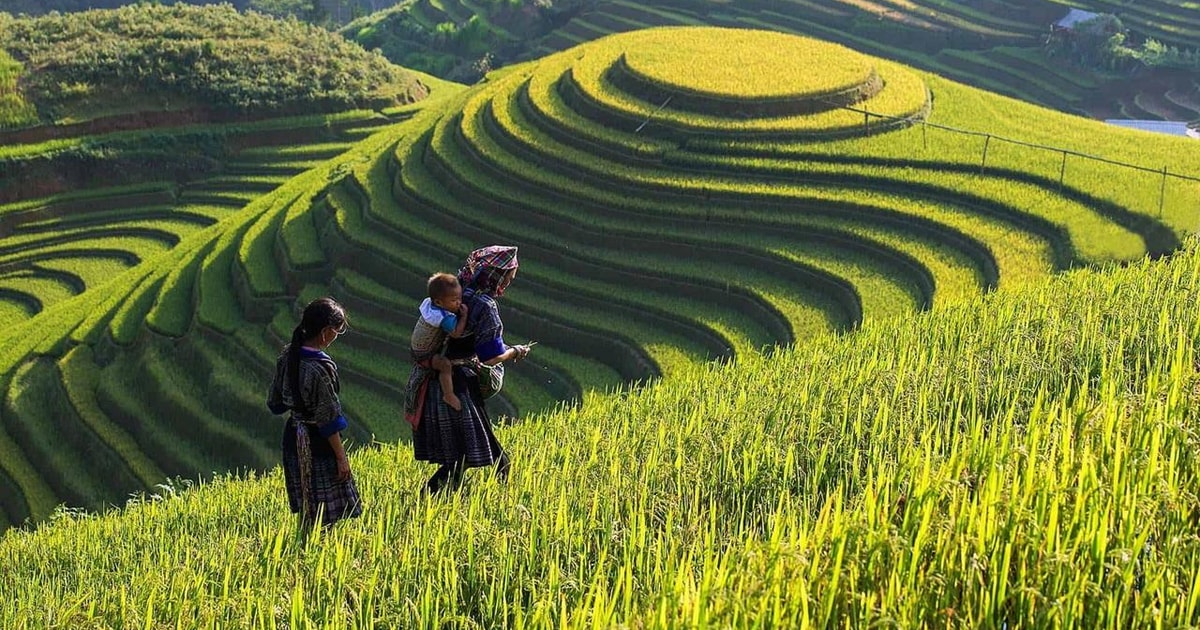 Von Hanoi: SAPA LAOCHAI - TAVAN - GIANG TA CHAI 3D2N | GetYourGuide