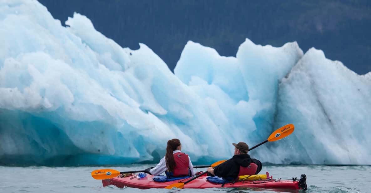 Valdez: Columbia Glacier Sea Kayak Day Tour | GetYourGuide