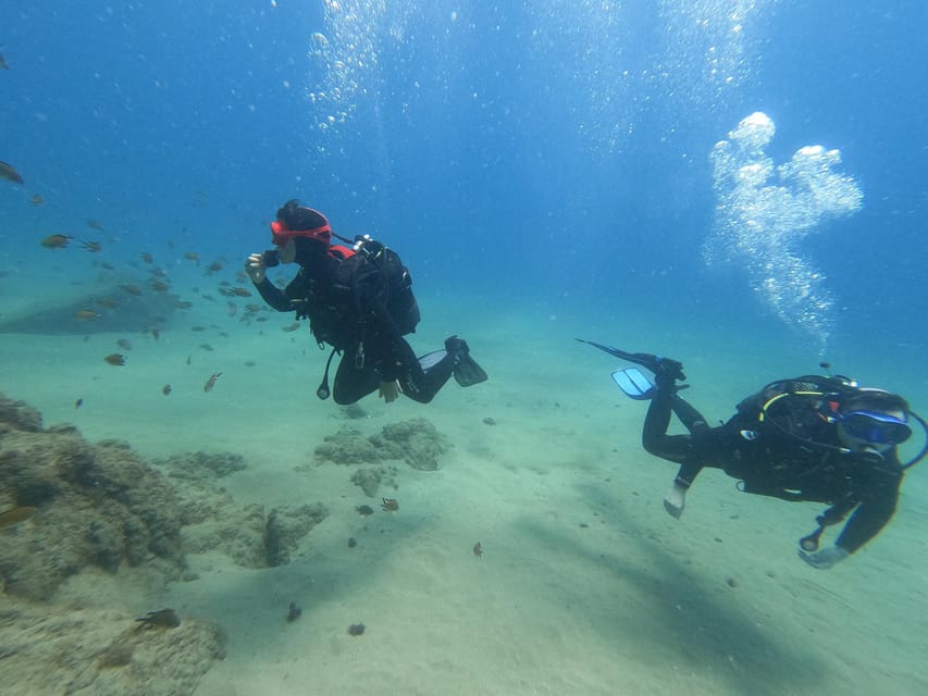 Basic Diver - Experience for beginners with 2 dives | GetYourGuide