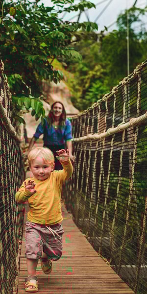 Cornwall: Eden Project Admission Ticket | GetYourGuide