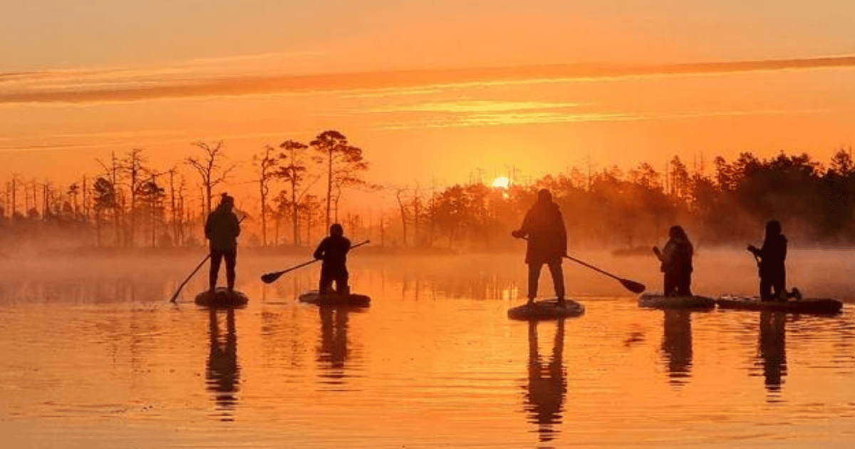 From Riga: Sunrise paddle board tour with pick-up | GetYourGuide