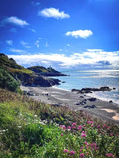 The BEST Port Talbot Tours and Things to Do in 2023 - FREE Cancellation ...