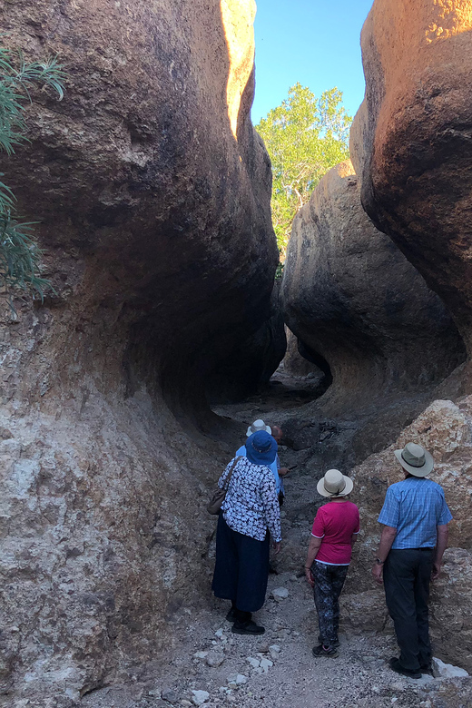 Winton: Rangelands Rifts & Sunset Tour | GetYourGuide