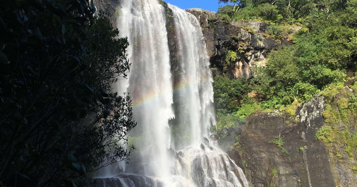 Mauritius: escursione guidata alle cascate di Tamarindo con nuoto ...
