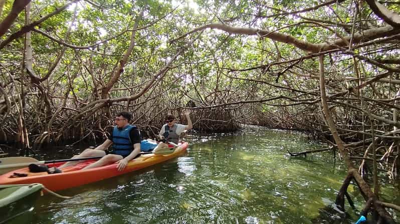 Cancun: Kayaking Tour in Nichupte Lagoon | GetYourGuide