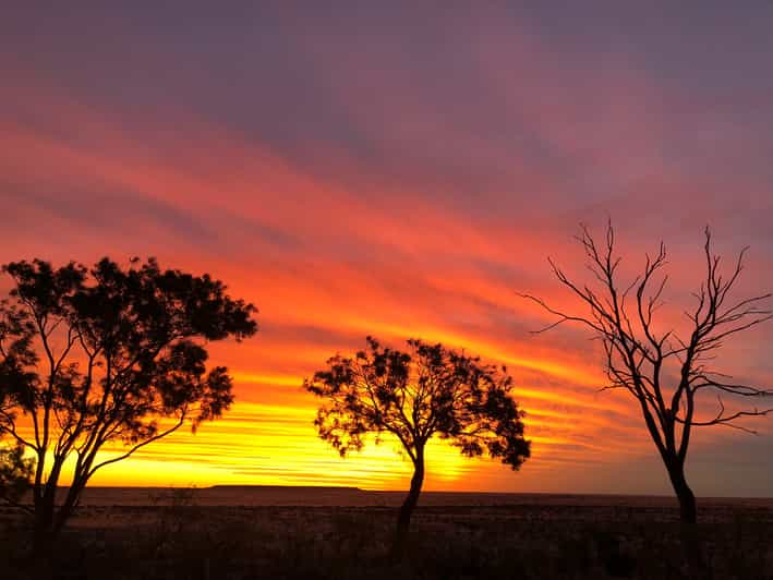 Winton: Rangelands Rifts & Sunset Tour | GetYourGuide